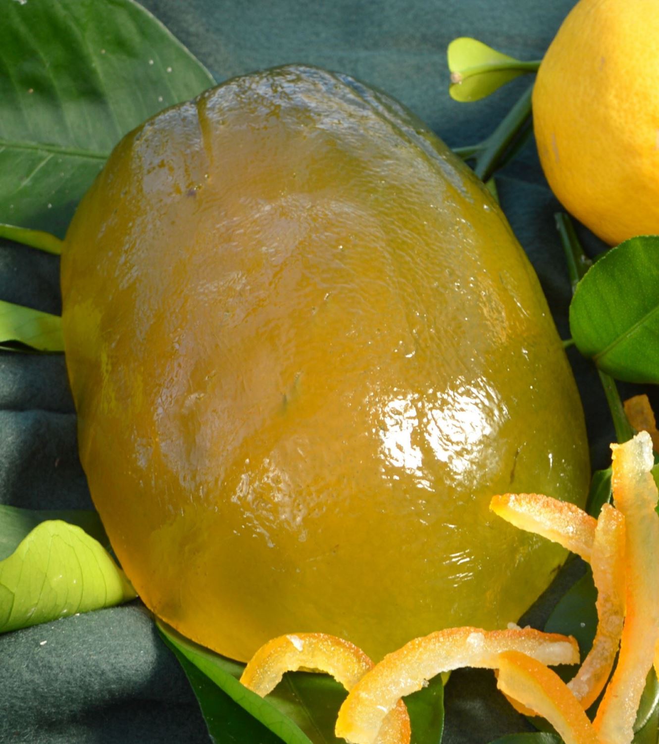 Citrus medica - Sukadecitroen, Citron | Hortus Botanicus Leiden ...